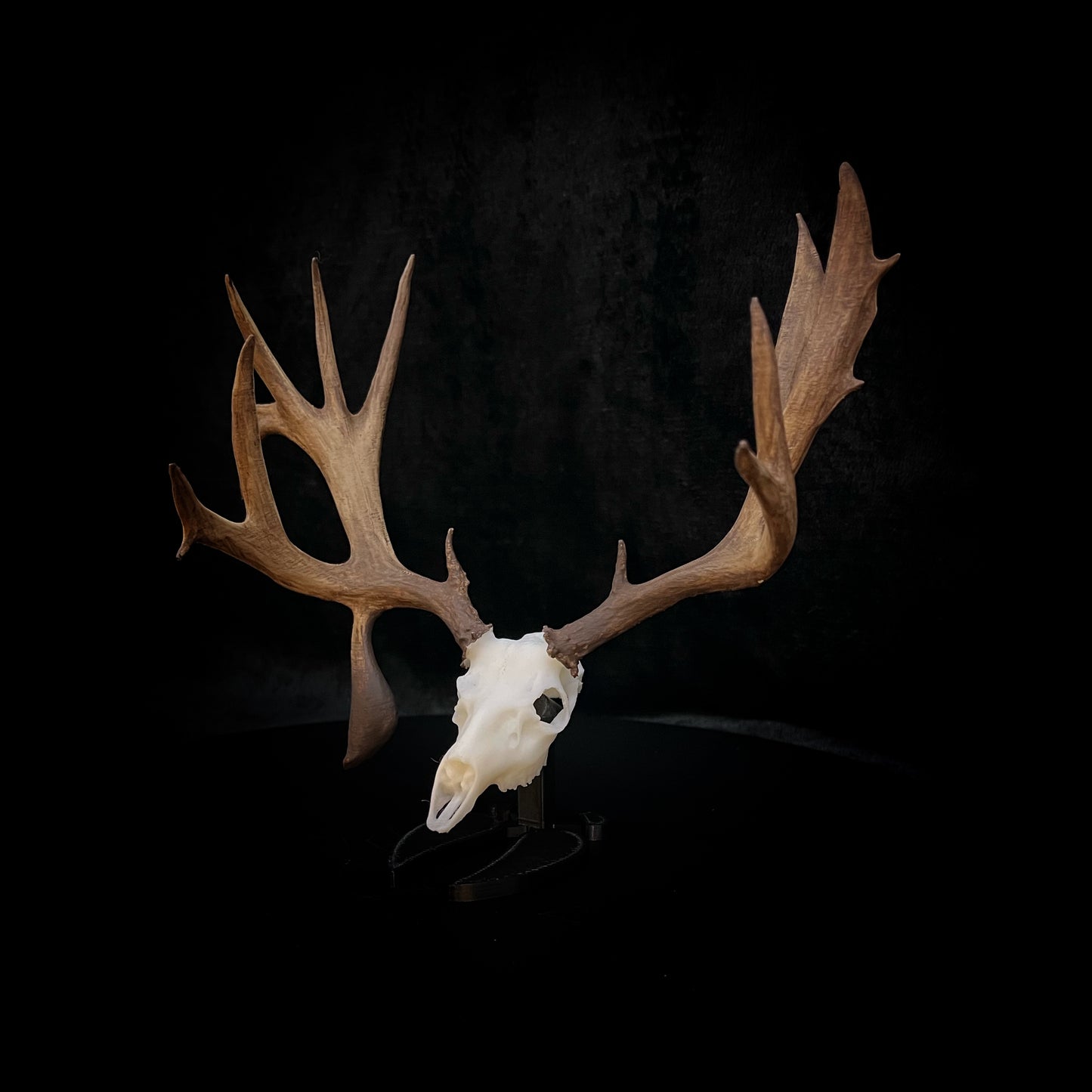 Baby Booners | Your trophy, small scale!