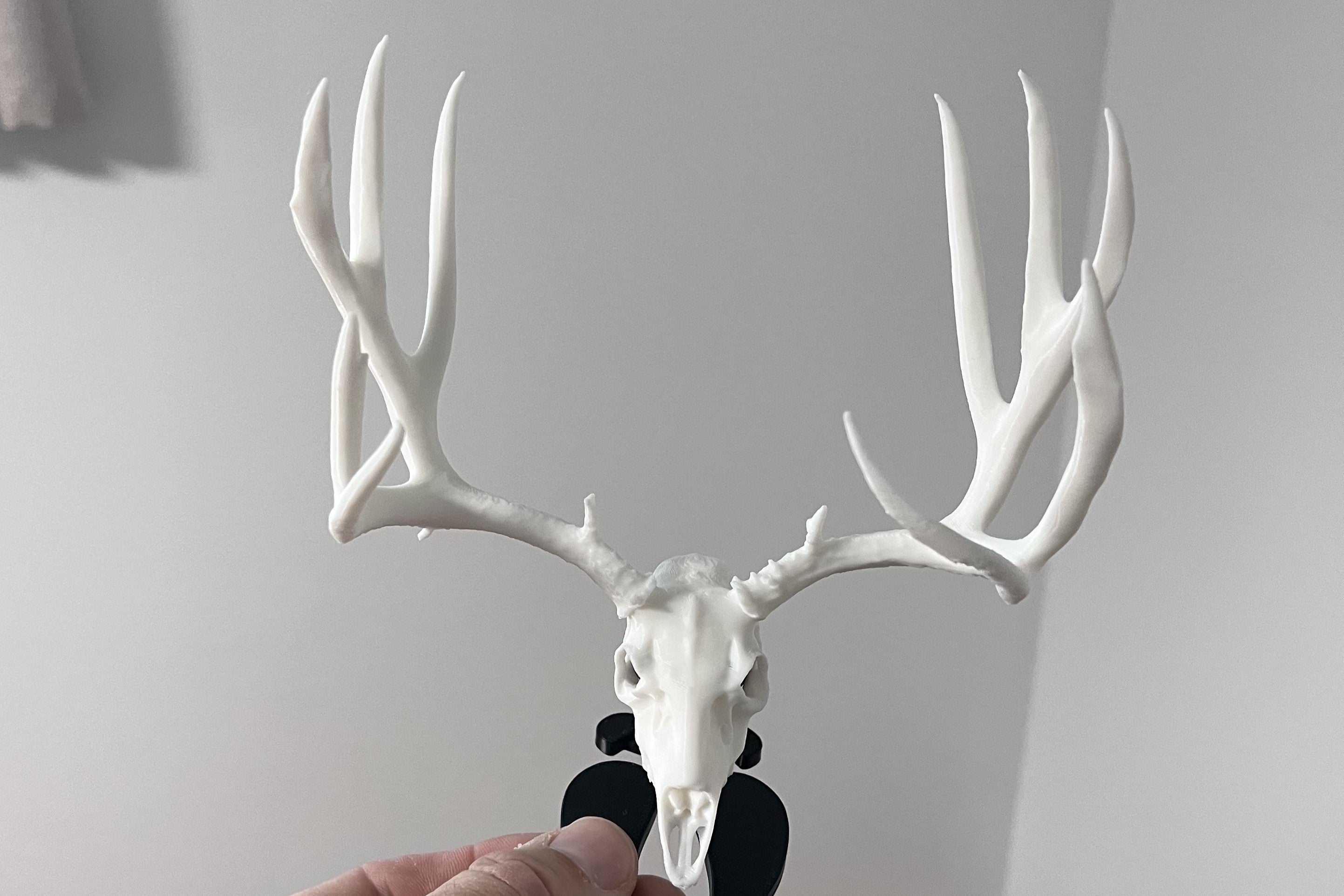 Custom Booners – Baby Booners